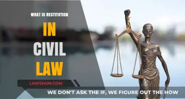 Understanding The Standard Of Proof In Civil Law Cases | LawShun
