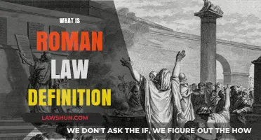 Understanding Positive Law: Definition, Origins, And Legal Applications ...