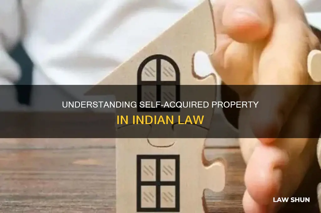 Understanding Self-Acquired Property In Indian Law | LawShun