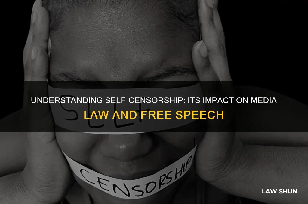 Understanding Self-Censorship: Its Impact On Media Law And Free Speech ...