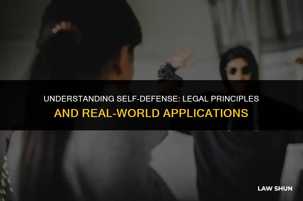 Understanding Self-Defense: Legal Principles And Real-World ...