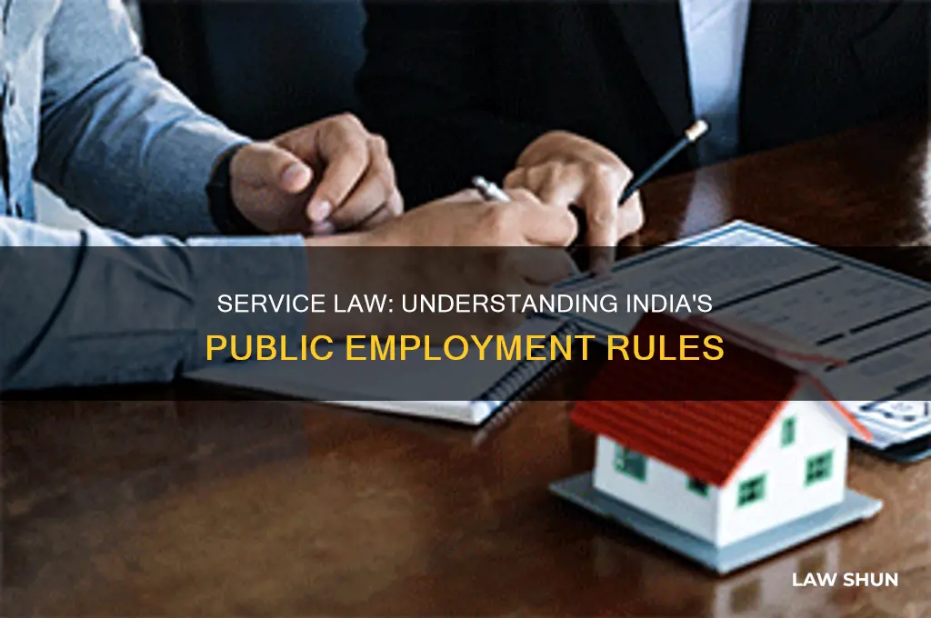 Service Law: Understanding India's Public Employment Rules | LawShun