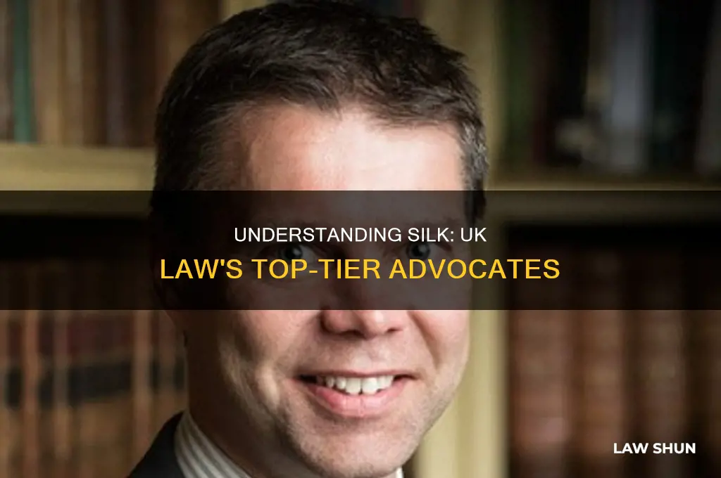 Understanding Silk: Uk Law's Top-Tier Advocates | LawShun