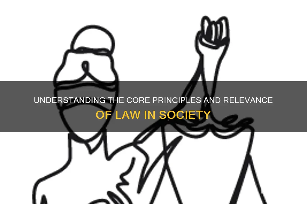Understanding The Core Principles And Relevance Of Law In Society | LawShun