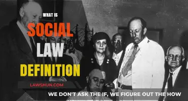 Understanding Positive Law: Definition, Origins, And Legal Applications ...