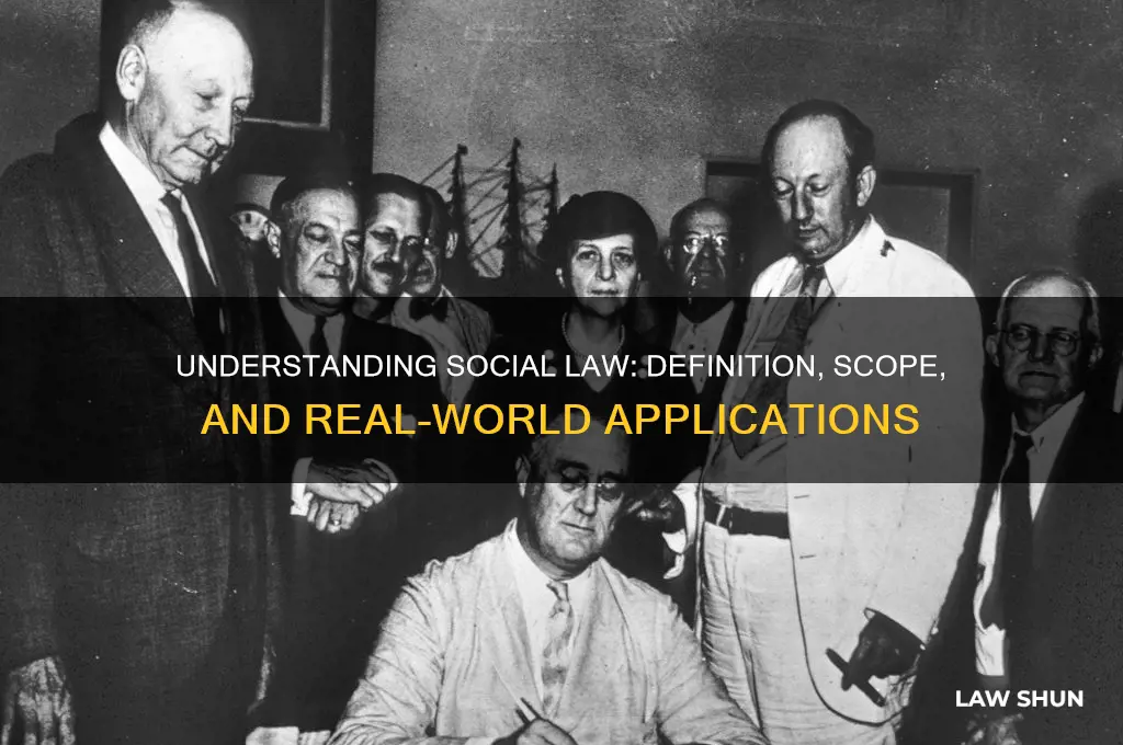 Understanding Social Law: Definition, Scope, And Real-World ...