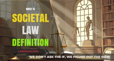 Understanding Procedural Law: Definition, Role, And Legal Framework ...