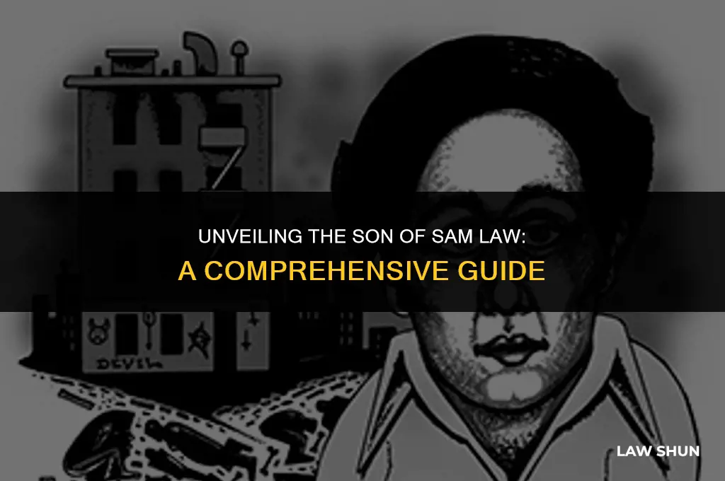 Unveiling The Son Of Sam Law: A Comprehensive Guide | LawShun