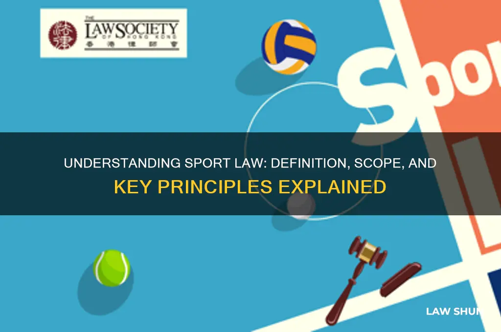 Understanding Sport Law: Definition, Scope, And Key Principles ...