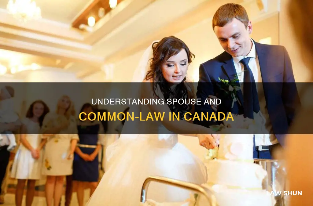 Understanding Spouse And Common-Law In Canada | LawShun