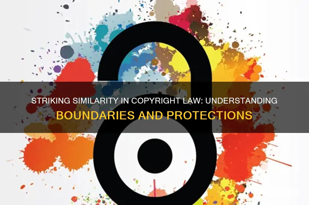 Striking Similarity In Copyright Law: Understanding Boundaries And ...