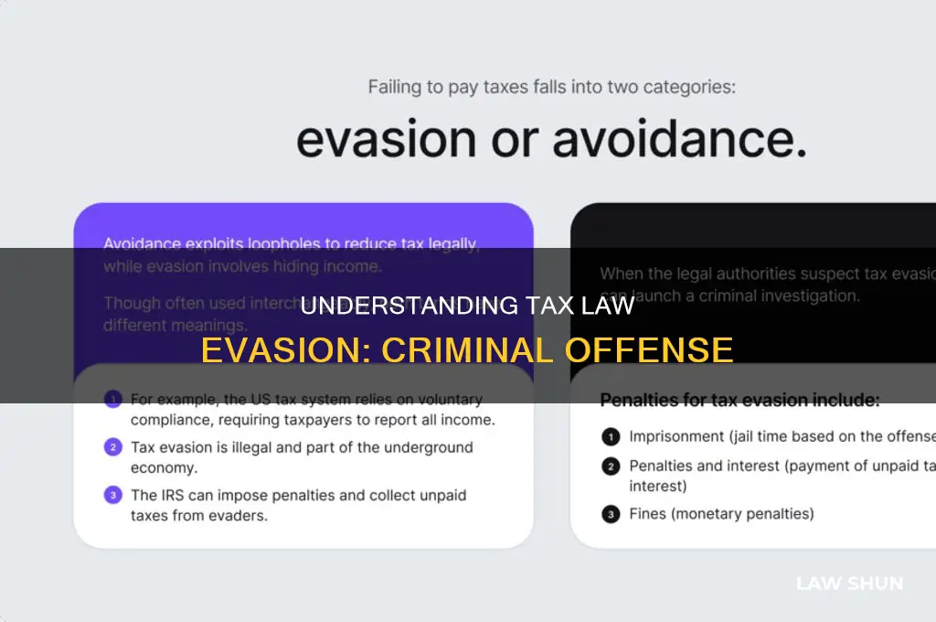 Understanding Tax Law Evasion: Criminal Offense | LawShun