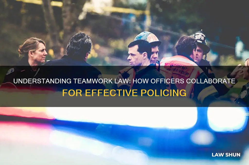 Understanding Teamwork Law: How Officers Collaborate For Effective ...