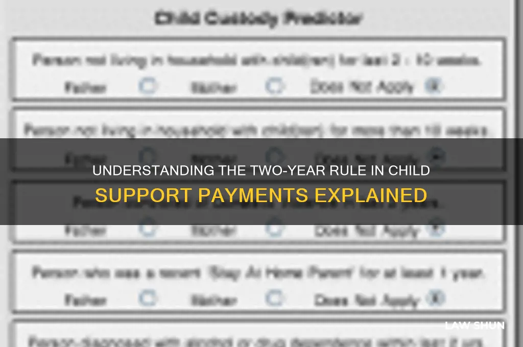 Understanding The Two-Year Rule In Child Support Payments Explained ...