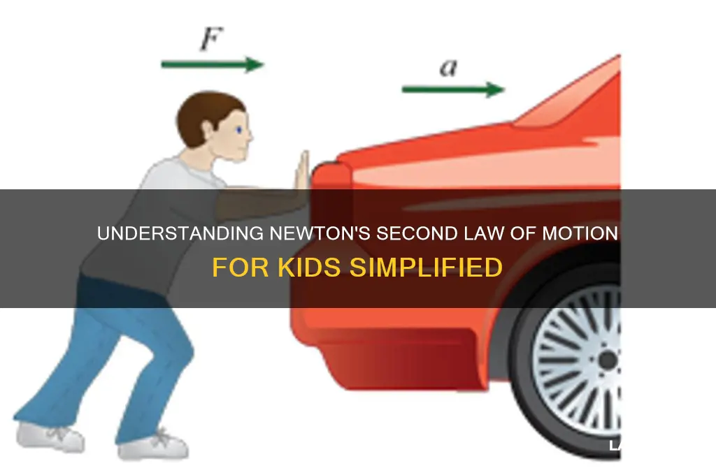 Understanding Newton's Second Law Of Motion For Kids Simplified | LawShun