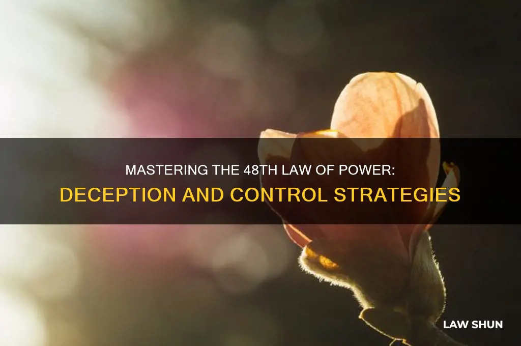 Mastering The 48Th Law Of Power: Deception And Control Strategies | LawShun