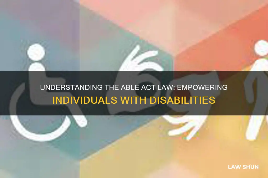 Understanding The Able Act Law: Empowering Individuals With ...
