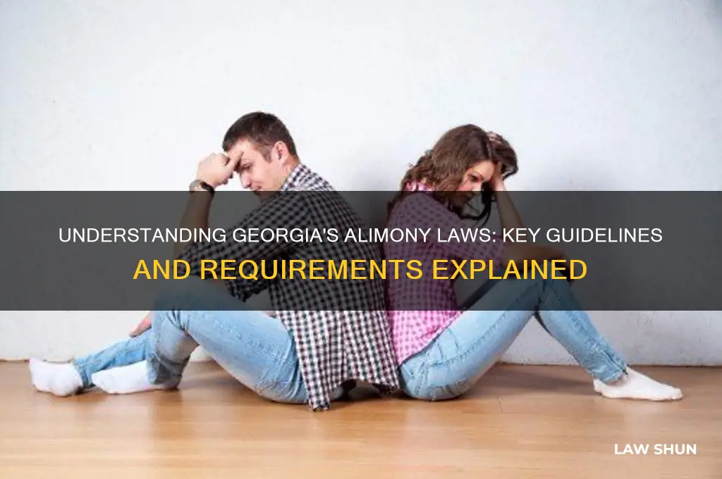 Understanding Georgia's Alimony Laws: Key Guidelines And Requirements ...