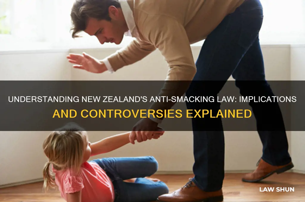 Understanding New Zealand's Anti-Smacking Law: Implications And ...