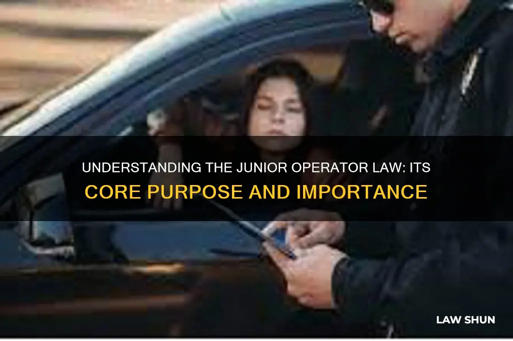 Understanding The Junior Operator Law: Its Core Purpose And Importance ...