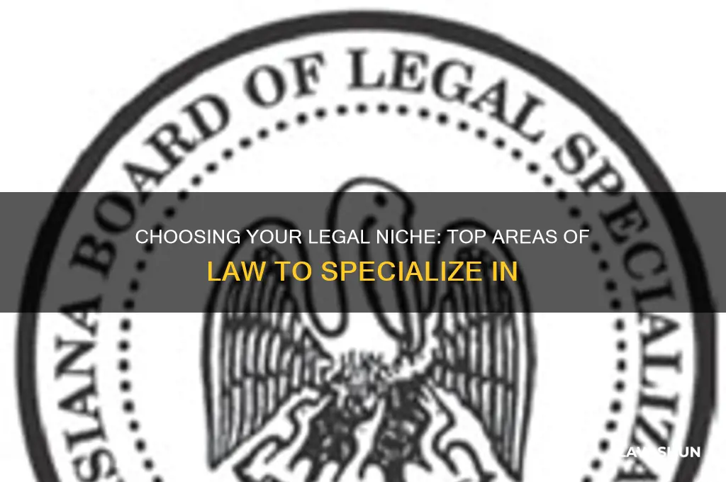 Choosing Your Legal Niche: Top Areas Of Law To Specialize In | LawShun