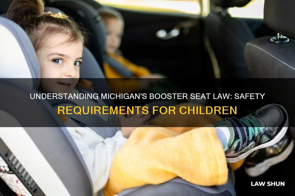 Understanding Michigan's Booster Seat Law: Safety Requirements For ...