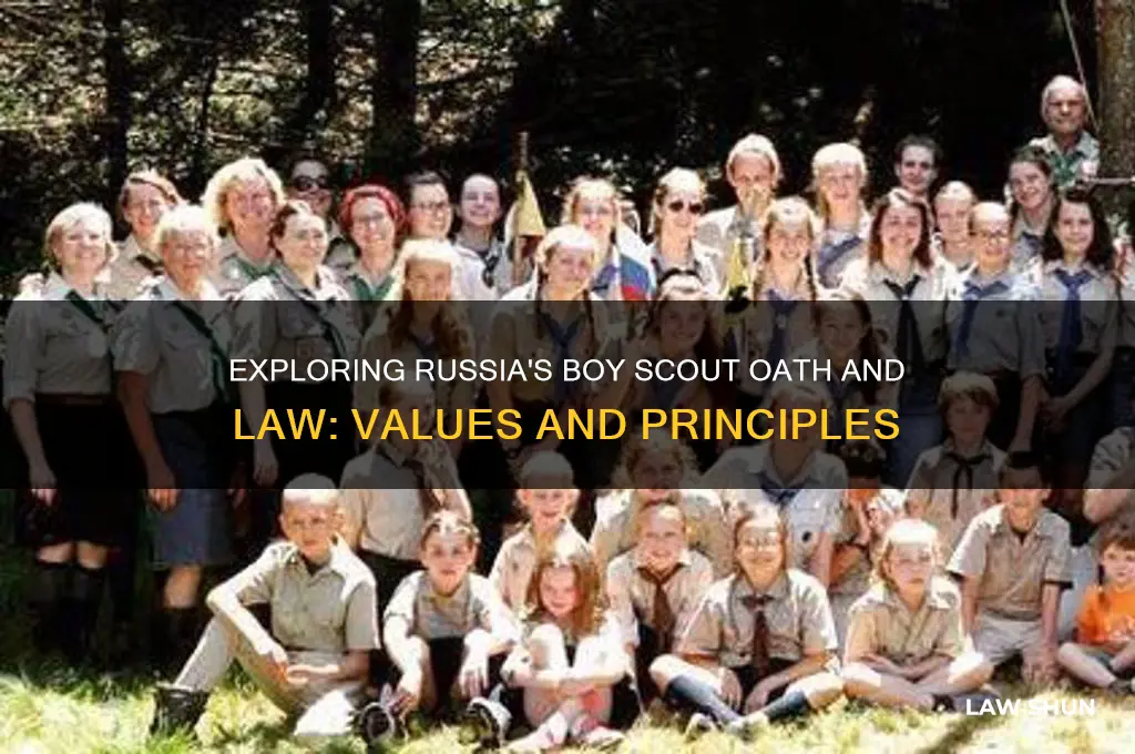 Exploring Russia's Boy Scout Oath And Law: Values And Principles | LawShun