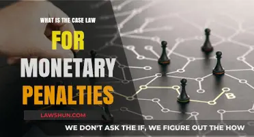 Headnotes In Case Law: What Are They? | LawShun