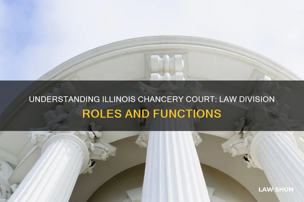 Understanding Illinois Chancery Court: Law Division Roles And Functions ...