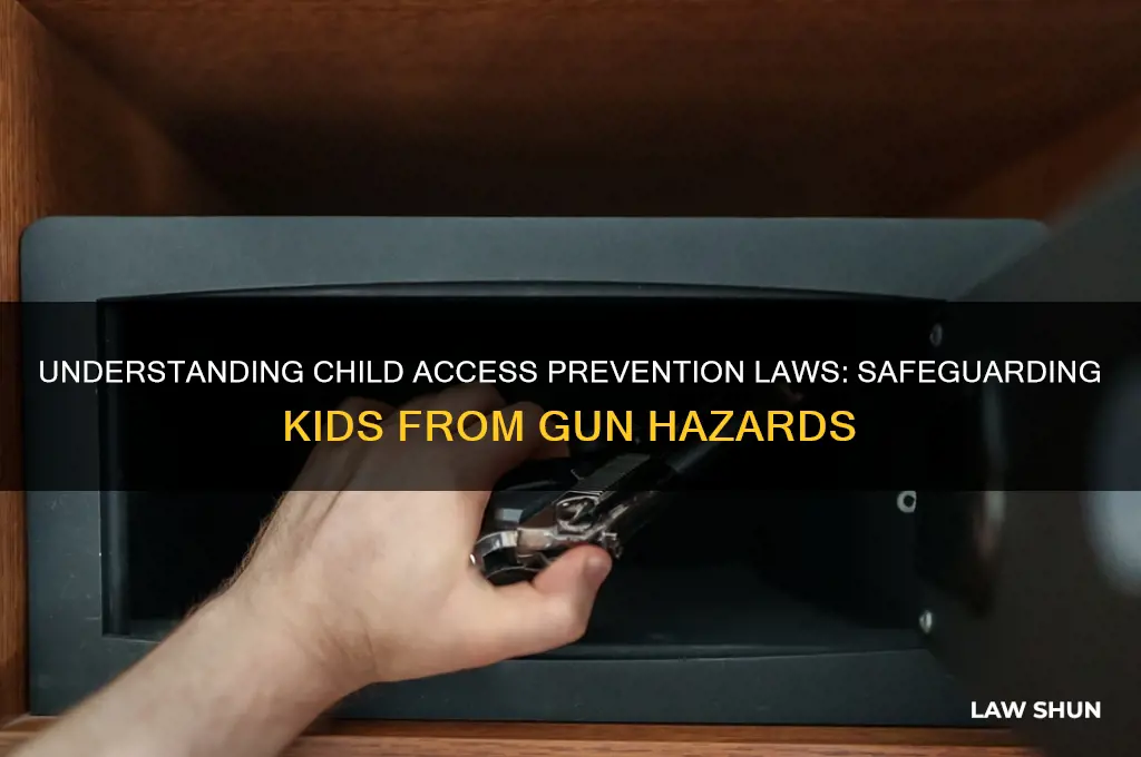 Understanding Child Access Prevention Laws: Safeguarding Kids From Gun ...