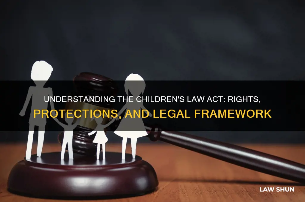 Understanding The Children's Law Act: Rights, Protections, And Legal ...