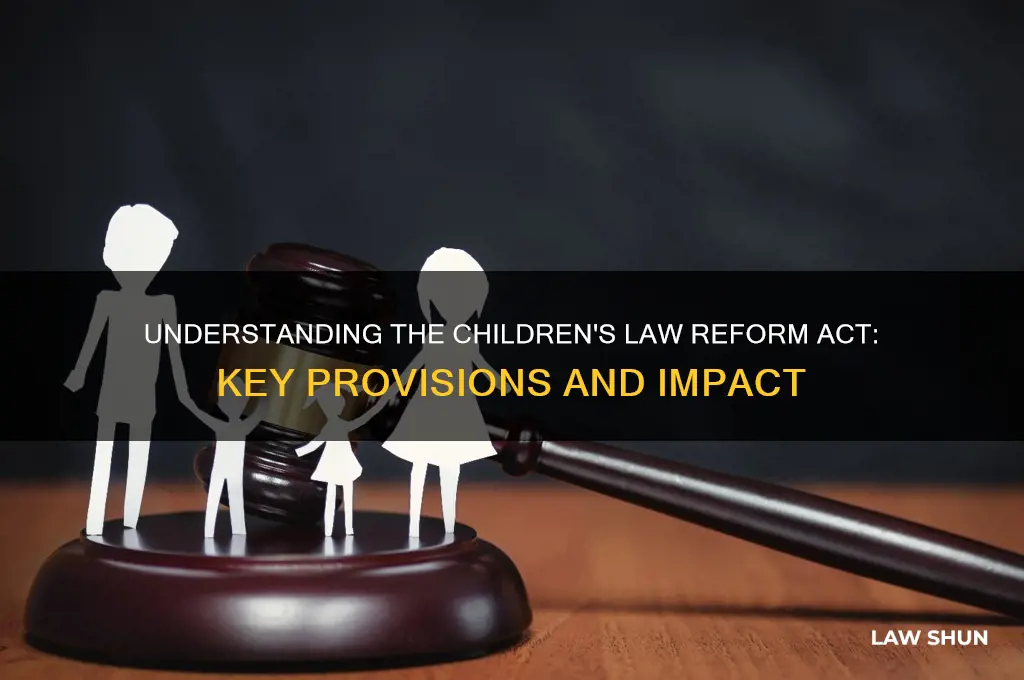 Understanding The Children's Law Reform Act: Key Provisions And Impact ...