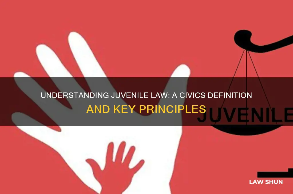 Understanding Juvenile Law: A Civics Definition And Key Principles ...