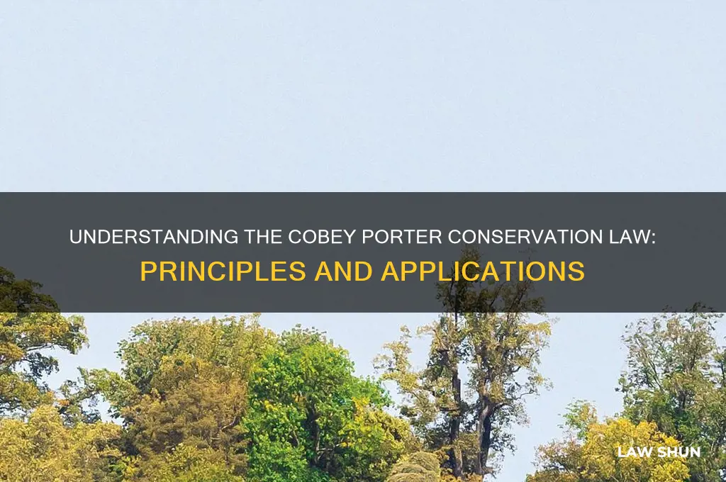 Understanding The Cobey Porter Conservation Law: Principles And ...