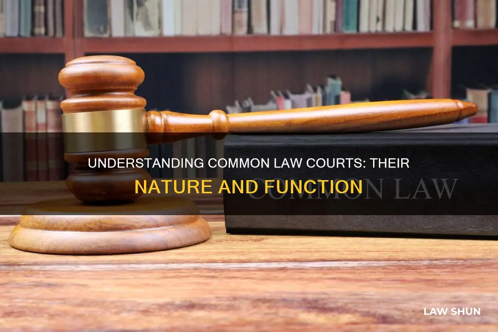 Understanding Common Law Courts: Their Nature And Function | LawShun