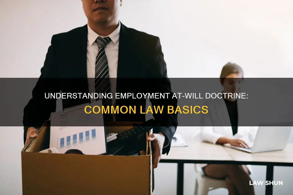 Understanding Employment At-Will Doctrine: Common Law Basics | LawShun