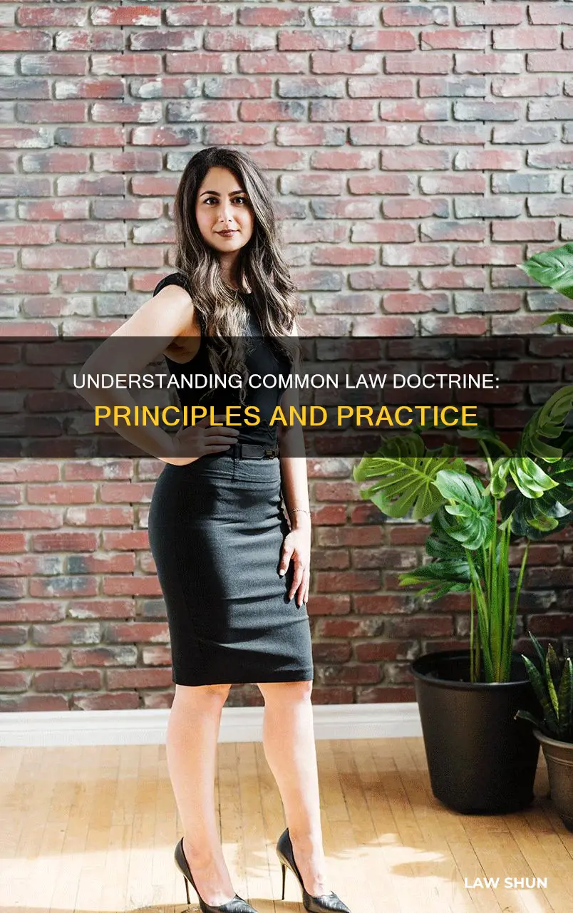 Understanding Common Law Doctrine: Principles And Practice | LawShun