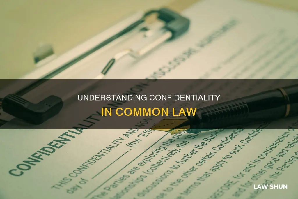Understanding Confidentiality In Common Law | LawShun