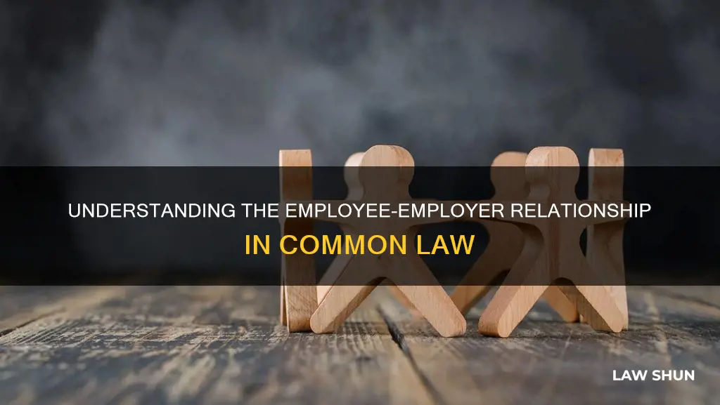 Understanding The Employee-Employer Relationship In Common Law | LawShun