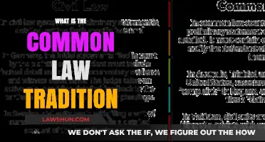Understanding The Law Of Agency In Common Law | LawShun