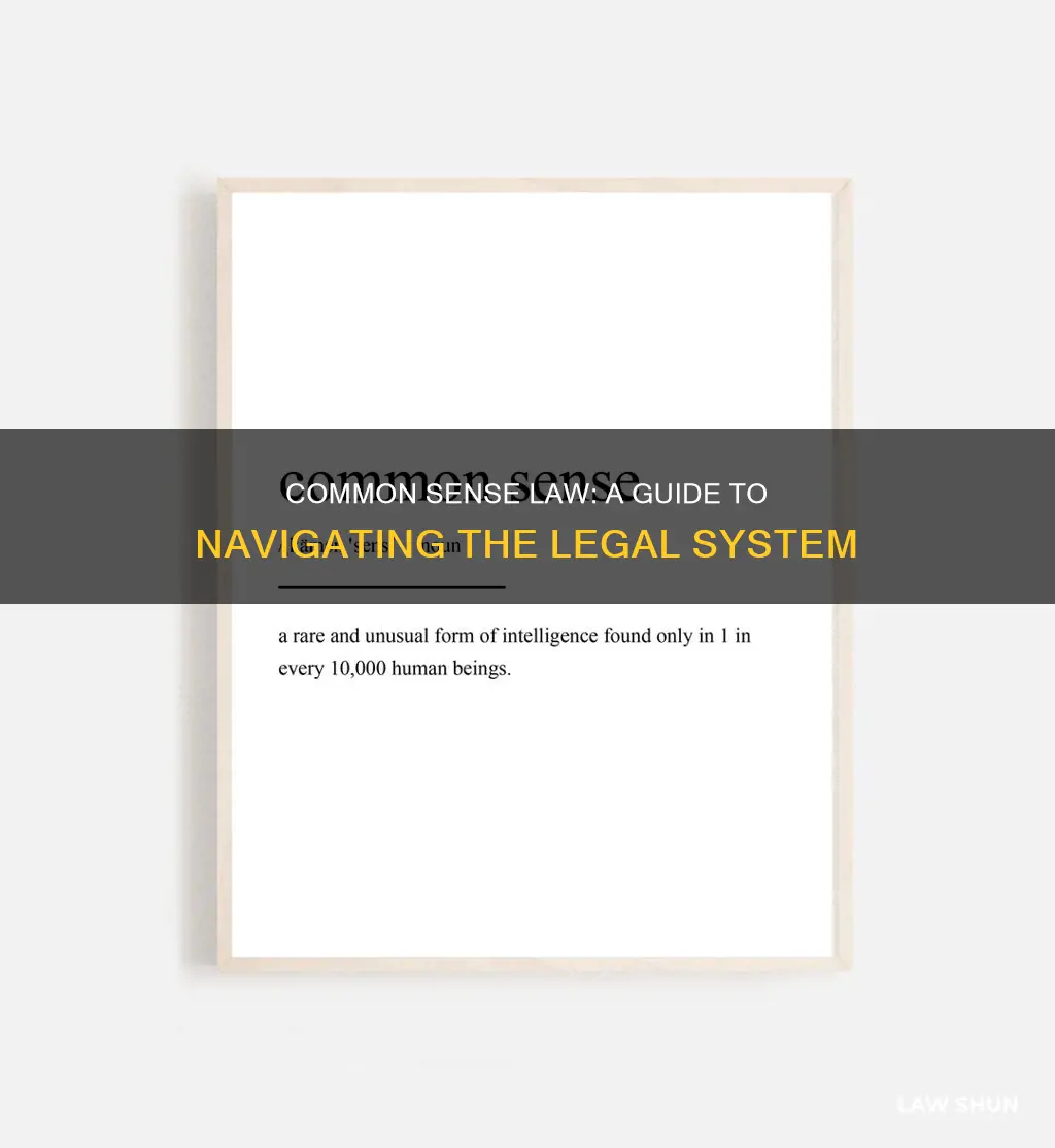 Common Sense Law: A Guide To Navigating The Legal System | LawShun