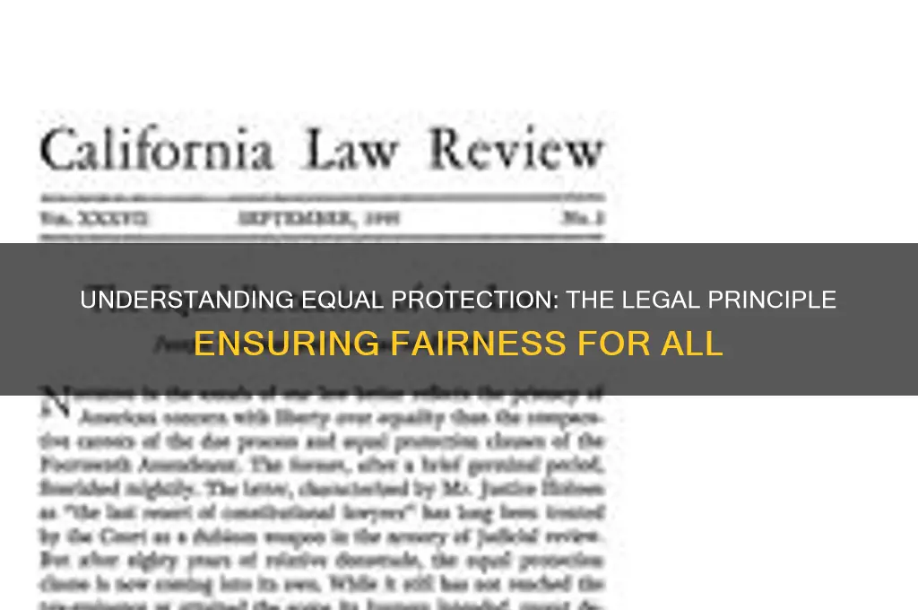 Understanding Equal Protection: The Legal Principle Ensuring Fairness ...