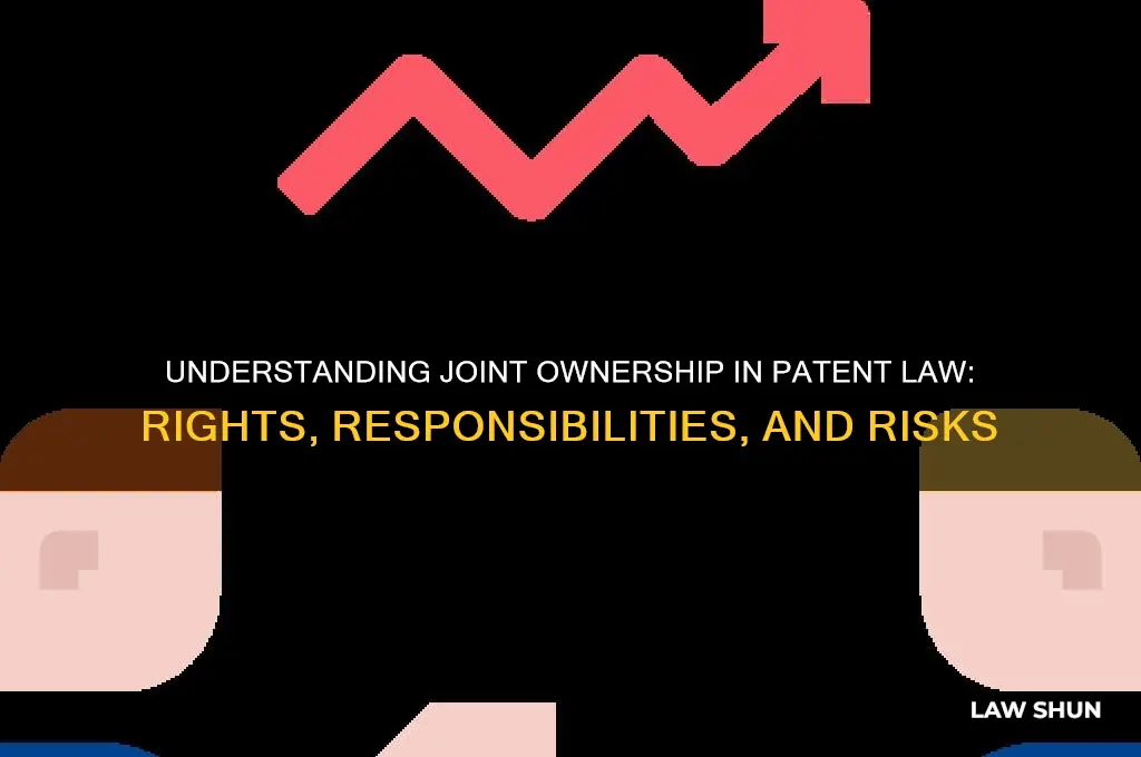 Understanding Joint Ownership In Patent Law: Rights, Responsibilities ...