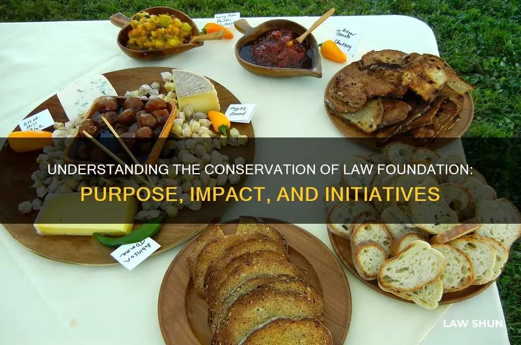 Understanding The Conservation Of Law Foundation: Purpose, Impact, And ...