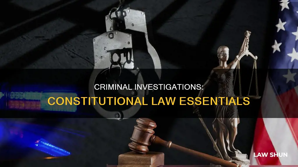 Criminal Investigations: Constitutional Law Essentials | LawShun
