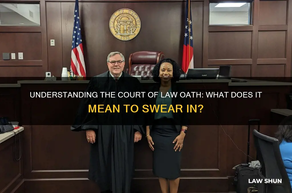 Understanding The Court Of Law Oath: What Does It Mean To Swear In ...