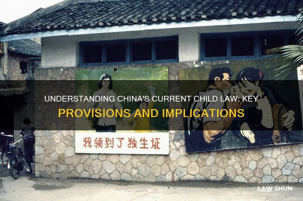 Understanding China's Current Child Law: Key Provisions And ...