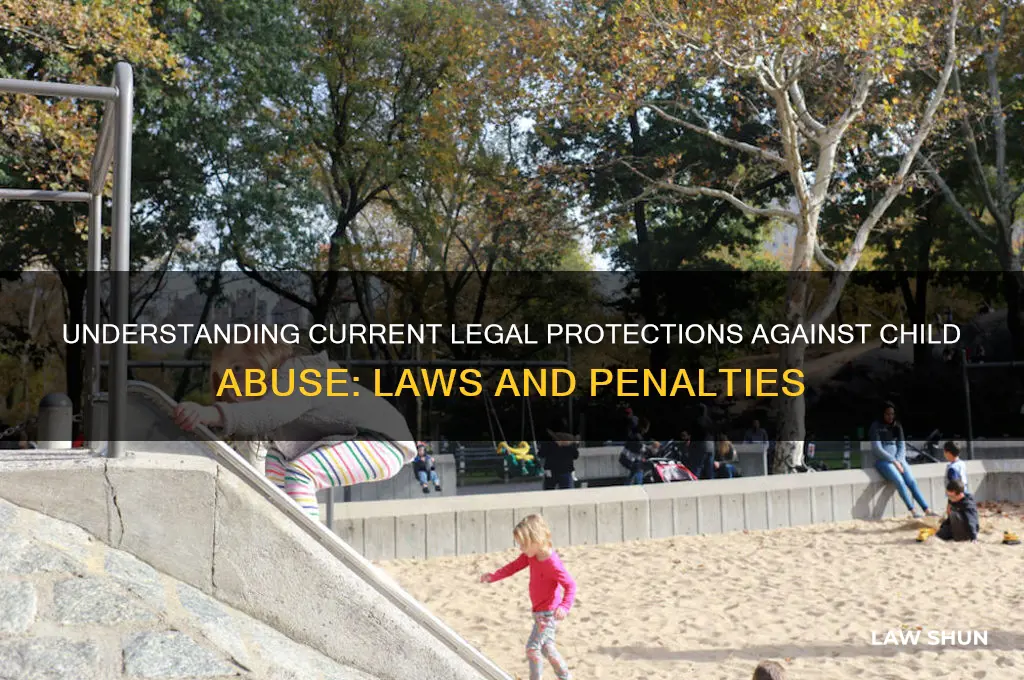 Understanding Current Legal Protections Against Child Abuse: Laws And ...