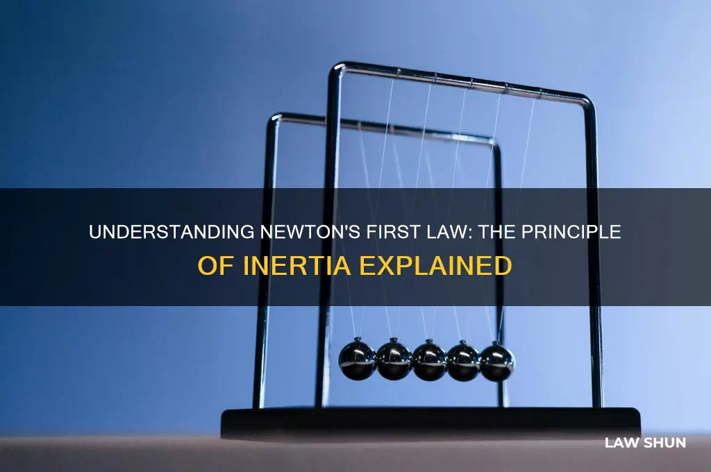 Understanding Newton's First Law: The Principle Of Inertia Explained ...