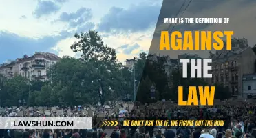 Understanding The Role: Advocate's Legal Definition And ...